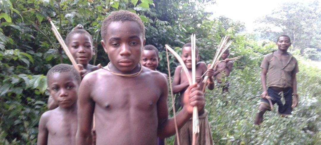 Support the Regional Movement to Protect Indigenous Batwa Survival and ...